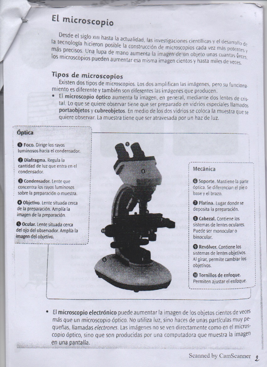 QUINTO GRADO: El mundo del microscopio