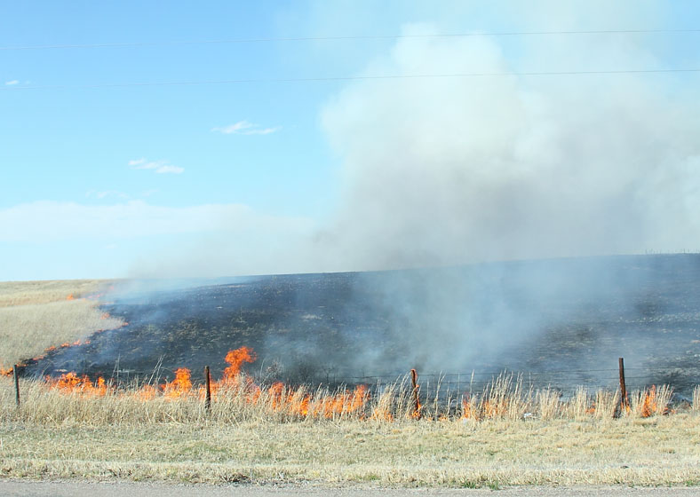 Rene Heil - Ranch Photographer: 96 degree...23 mph wind...dry...Grass Fire