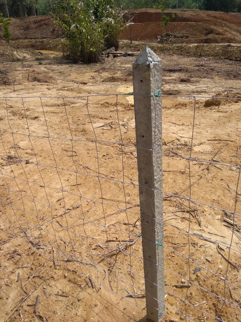 tiang pagar kebun - Ardis Mcknight