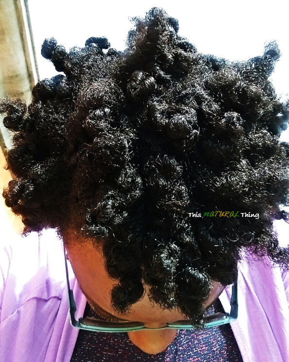 This NATURAL Thing: Twisted Curls with As I Am | Review | BONUS Styling ...