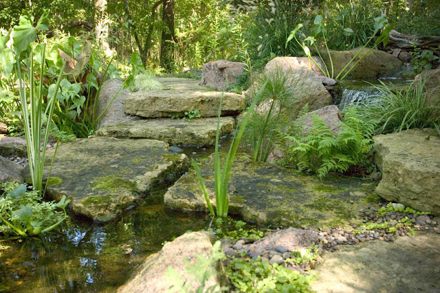 Aquascape Your Landscape: Landscape Transformation: Water Wonderland
