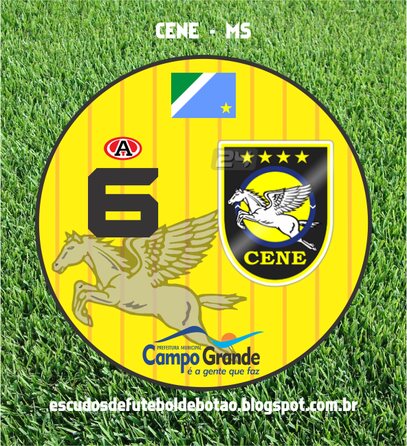ESCUDOS DE FUTEBOL DE BOTÃO: Time do CENE do Mato Grosso do Sul...