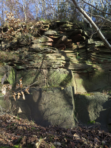 The Language of Stone: Geology in Canklow Wood - Part 2