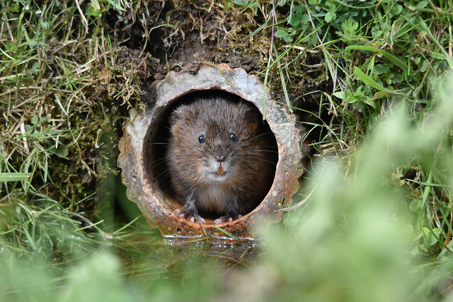 Photo of the month: August 2019