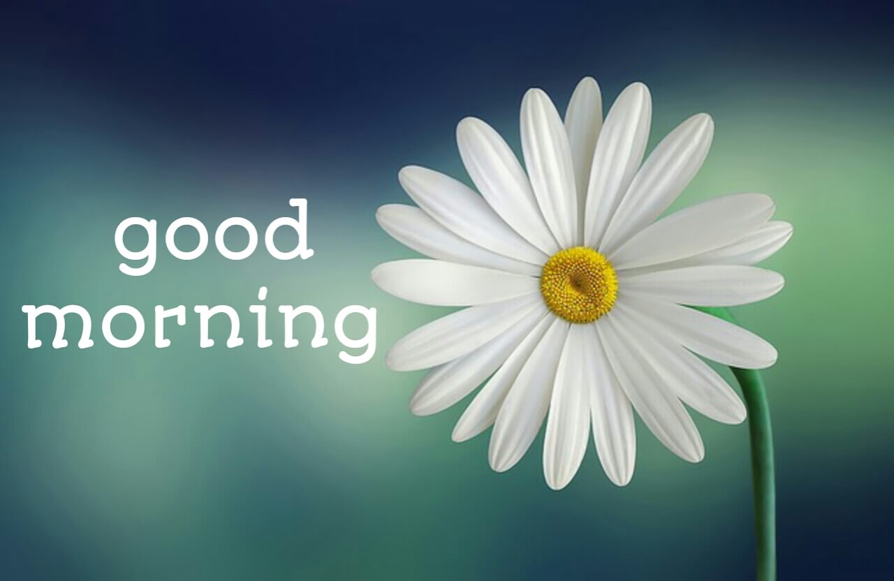 50+ good morning images download | free themes