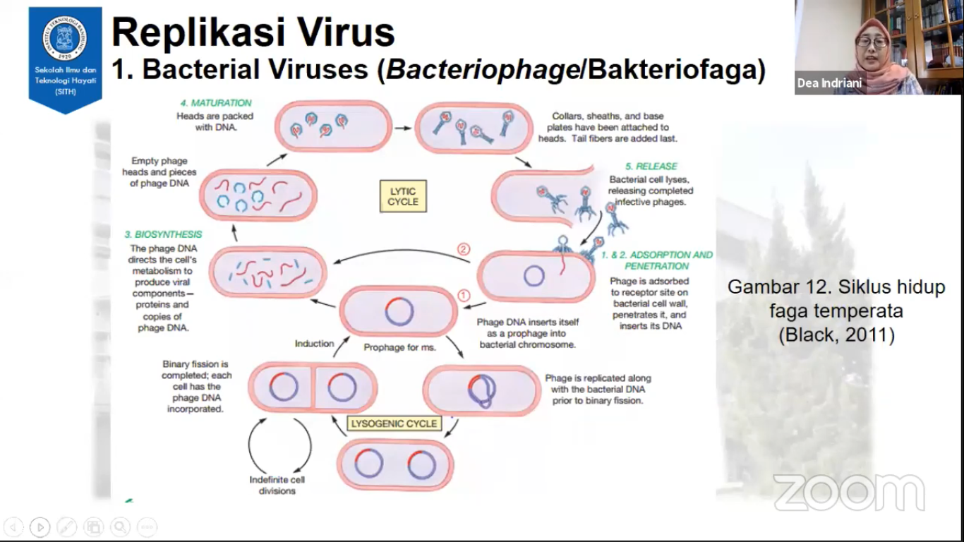 STRUKTUR, REPLIKASI DAN PERAN VIRUS DALAM KEHIDUPAN PENDIDIKAN ...