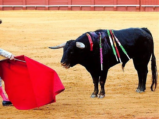 LAS MONTAÑAS DEL ALMA