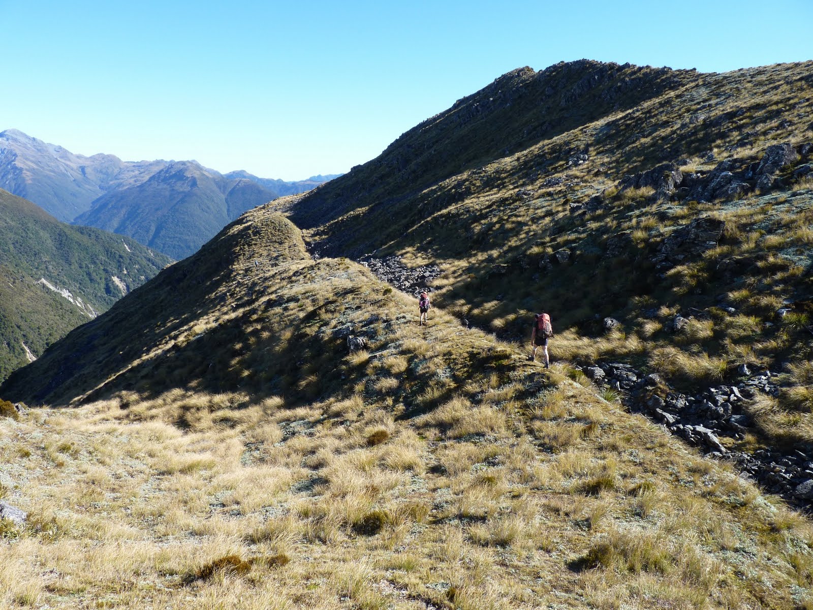 BlogRoddus: Rangi Tiapo/Kelly Tops 30th April-1st May 2011