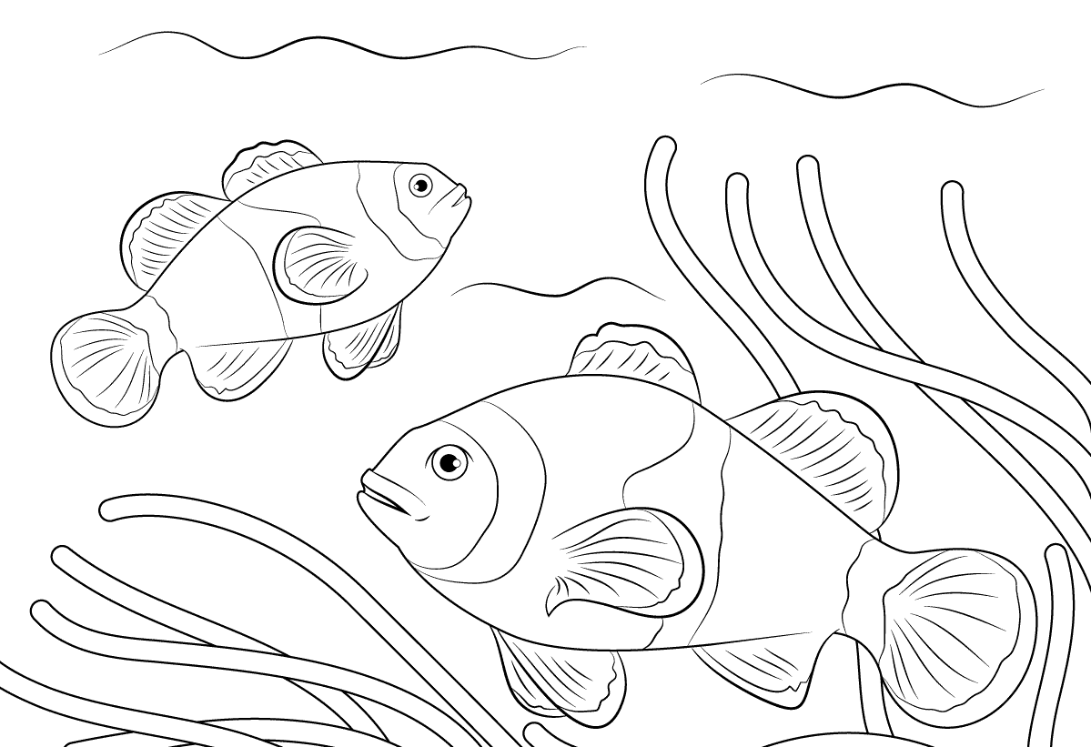 Gambar Mewarnai Ikan Badut ~ GAMBAR MEWARNAI