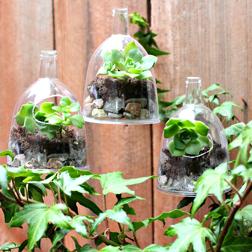 Mark Montano: Upcycled Mini Terrariums