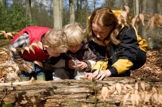 School Outdoor Learning - SOuL: The 5 Key Elements to Successful ...