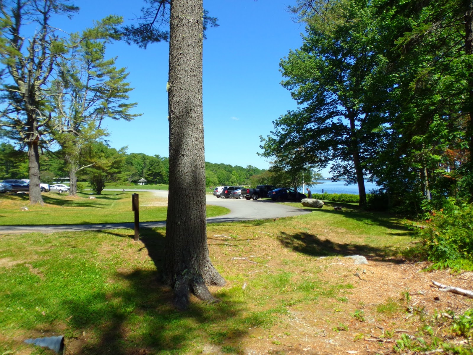 Moose Point State Park, Searsport, Maine - Fort Point State Park ...