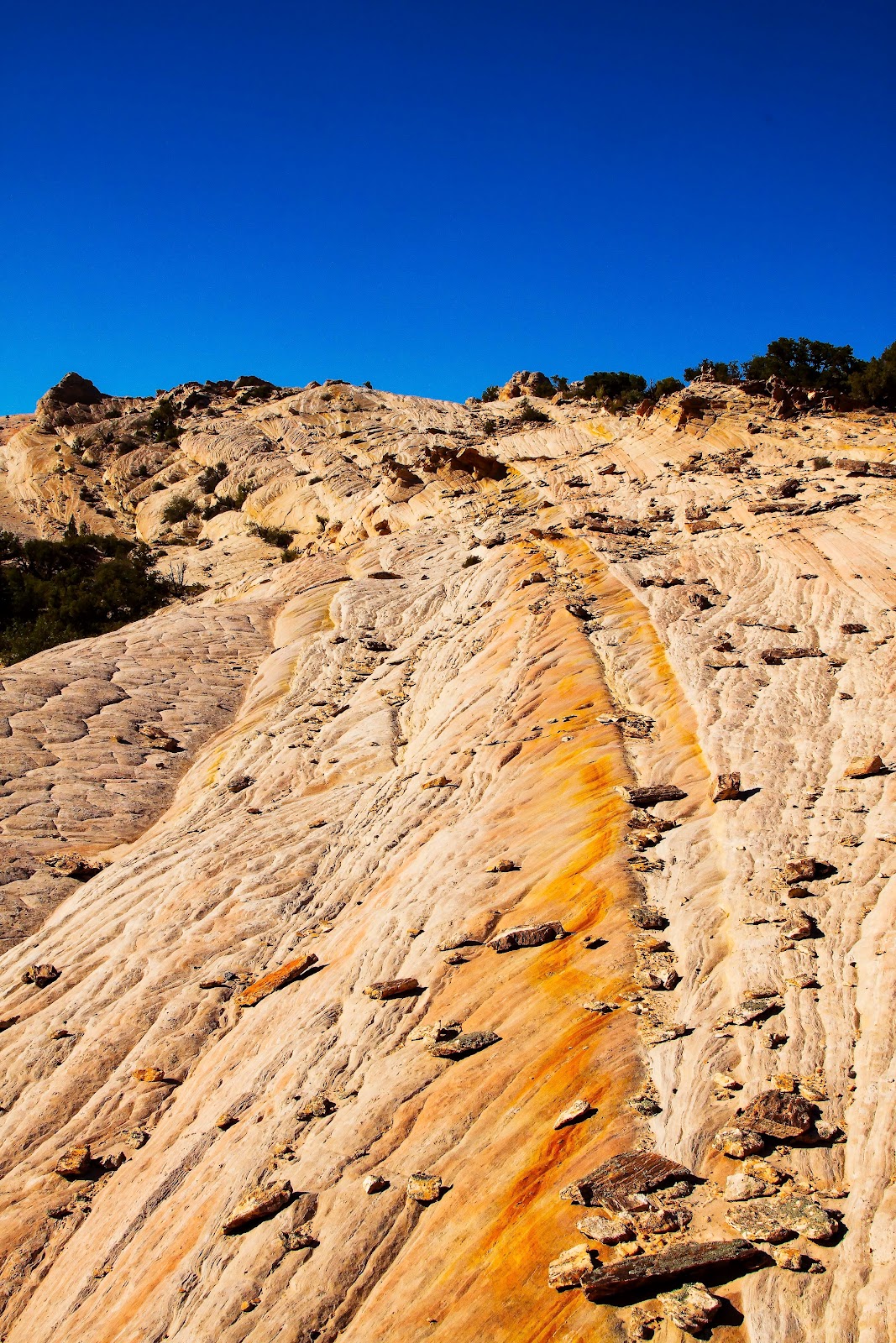 View from the Exerda: Yellow Rock in the Grand Staircase: Part One of a ...