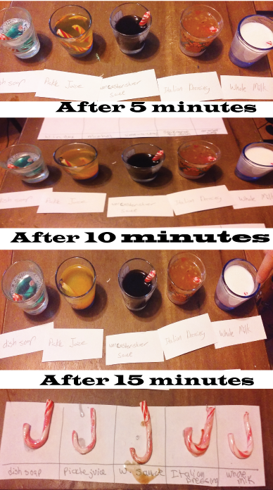 Learning As We Go: We Do 'Holly & Jolly Elf 's Candy Cane Disposal ...