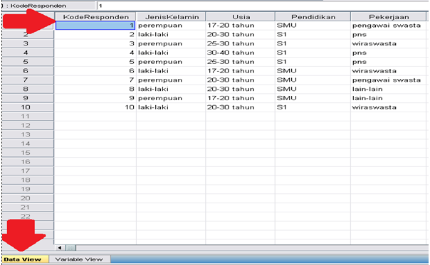 PENGANTAR TEKNOLOGI INFORMASI: CARA MEMBUAT PROFILE RESPONDEN DENGAN SPSS