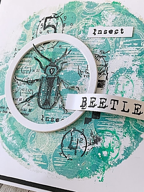 Tracy Evans: Beetle Card
