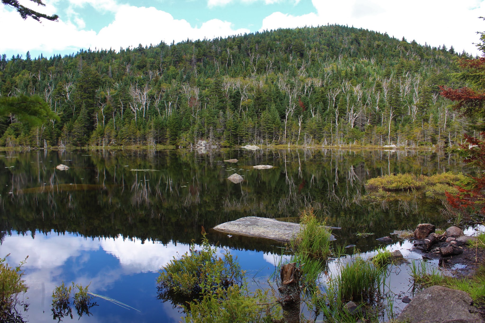 Walking Man 24 7: Cooper Kiln Pond & Morgan Mountain(Wilmington Wild ...