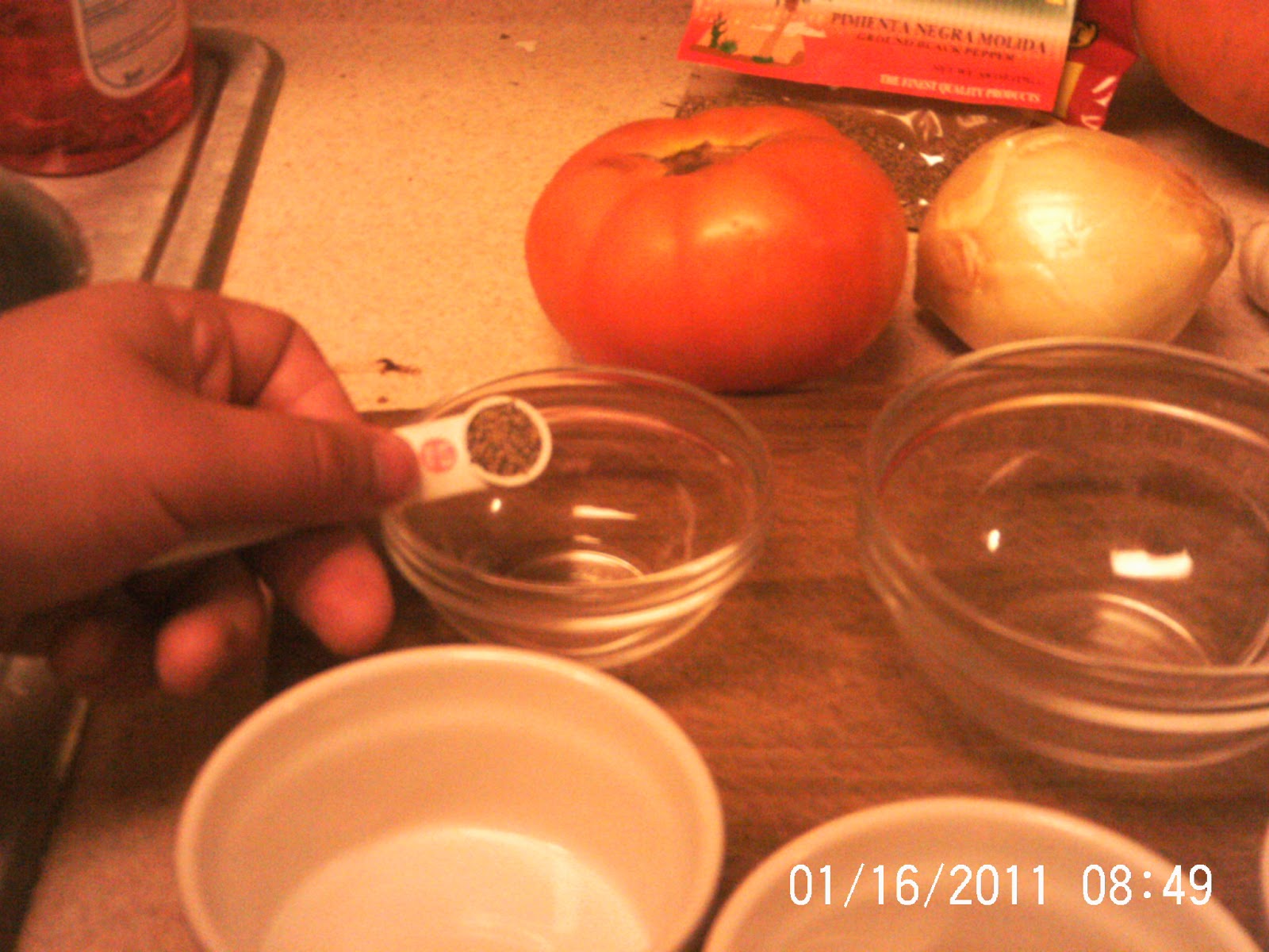 Manuel Senior Project