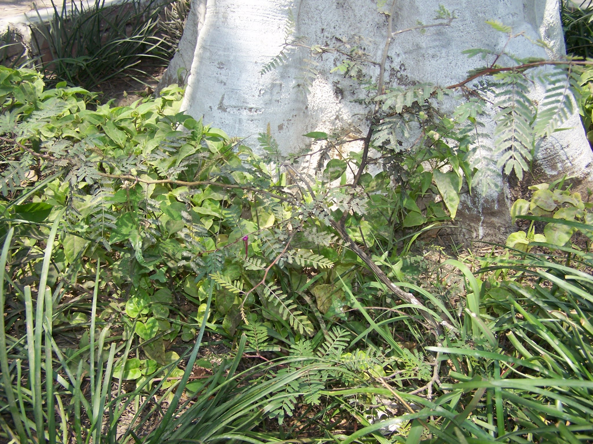 Trabajos de investigacion