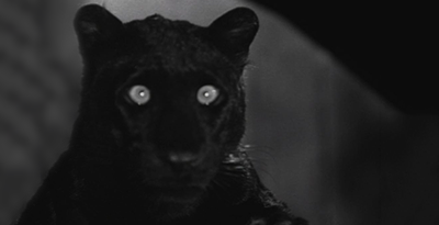 The Wandering Image: BEST HORROR MOVIES OF THE 40s