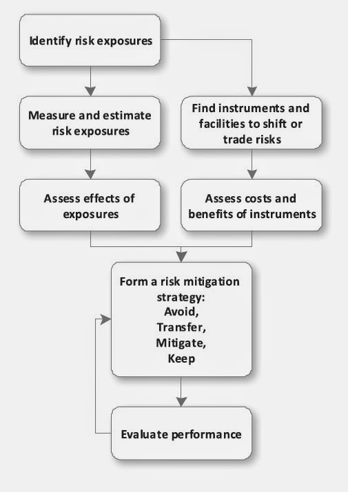 EFR: The Risk Management Process