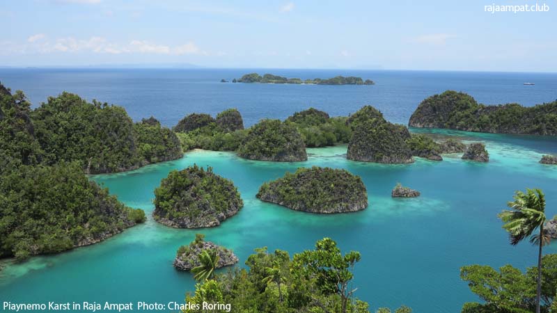 Raja Ampat Club: Raja Ampat Archipelago Region
