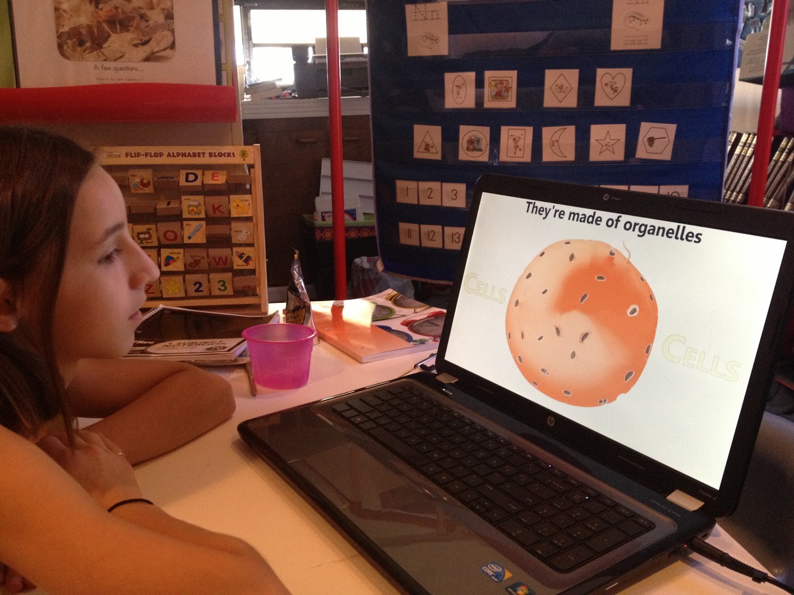 Learning In Grace: Human Body Unit- Cells - 5th Grade