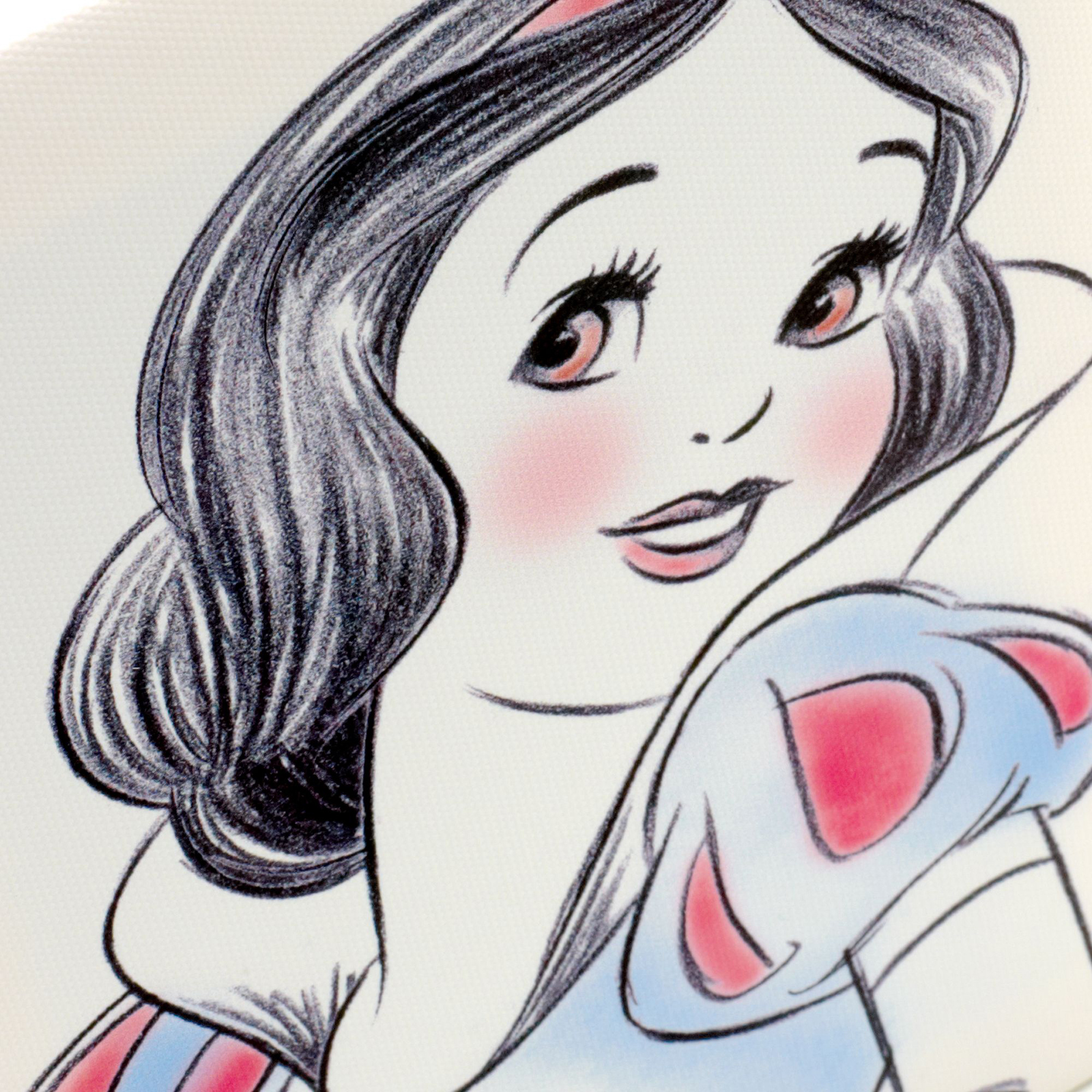 Filmic Light - Snow White Archive: Disneyland Paris Snow White Canvas