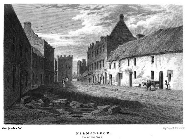 Irish Local History: List of Irish Local History eBooks