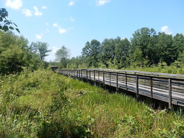 Natural Mid-Atlantic : NJ Great Swamp National Wildlife Refuge