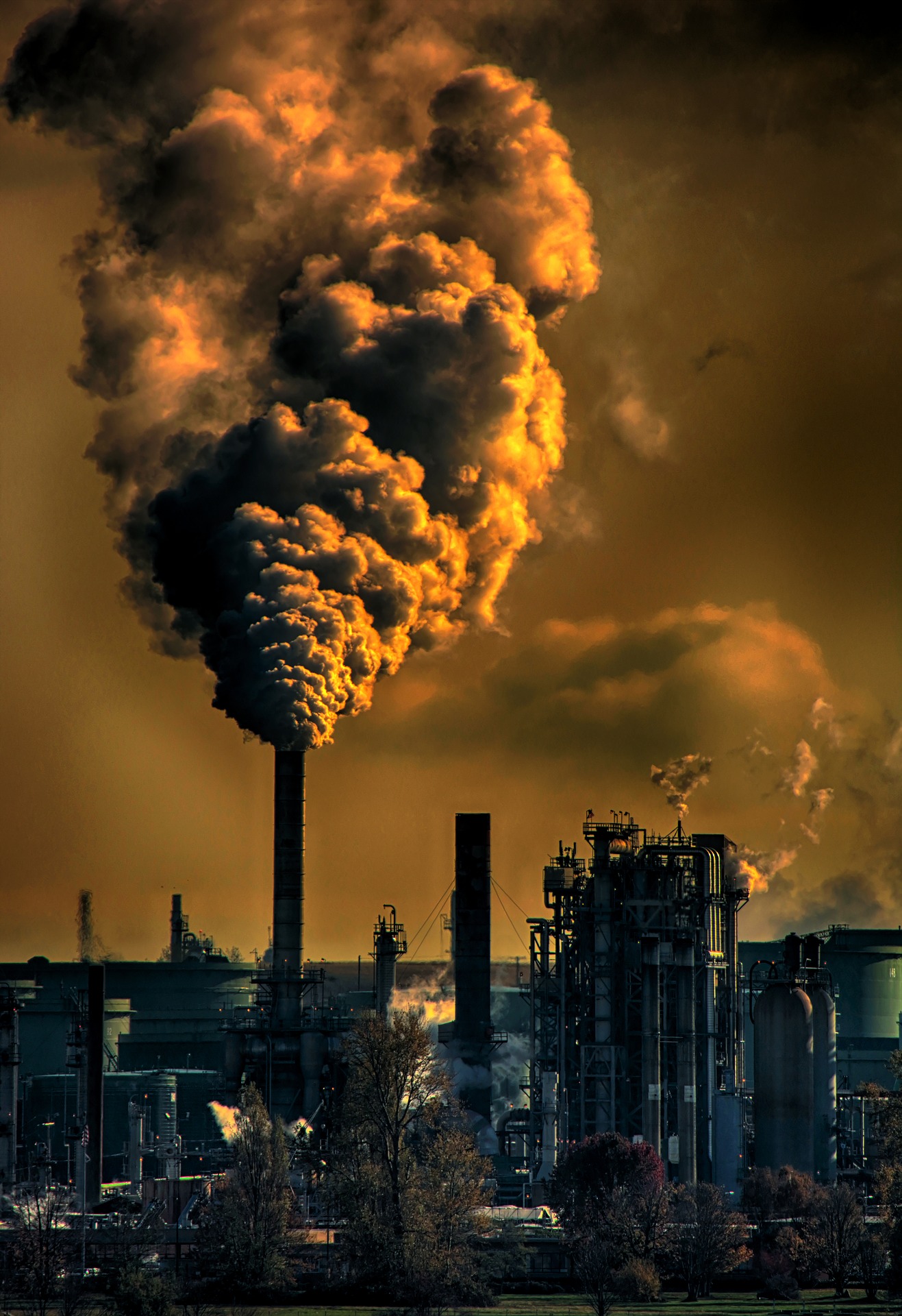 Nepali Essay On Environment Pollution Nibandh On Environment nepali-essay-on-environment-pollution-nibandh-on-environment