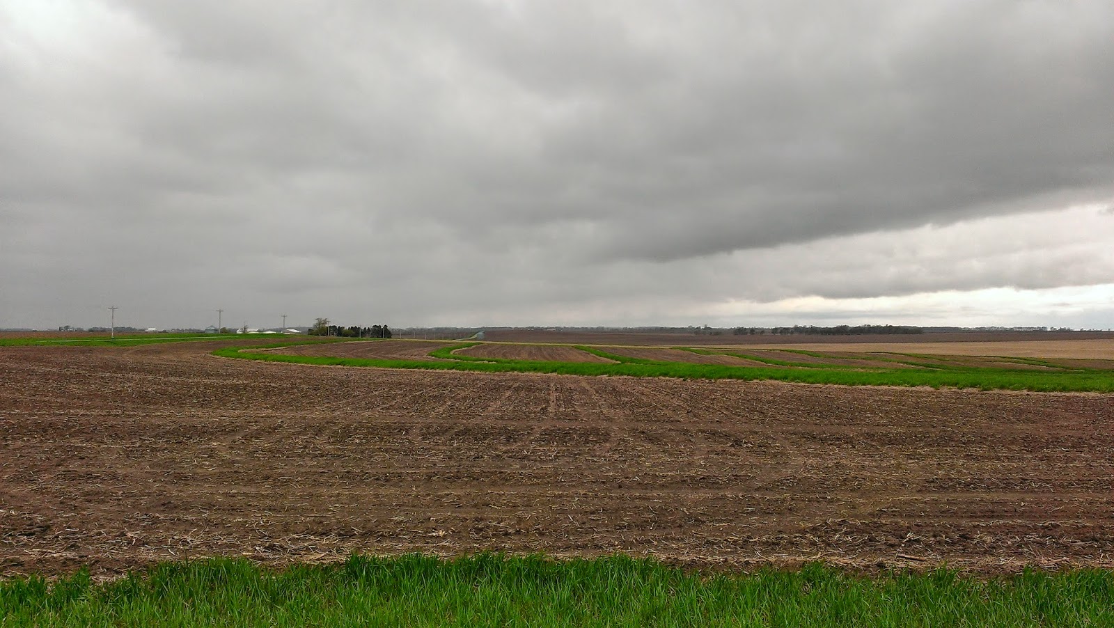 Observations in Agriculture: Narrow Base Terraces