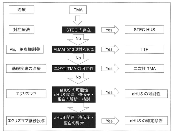 血栓性微小血管障害(thrombotic microangiopathy: TMA)とDIC