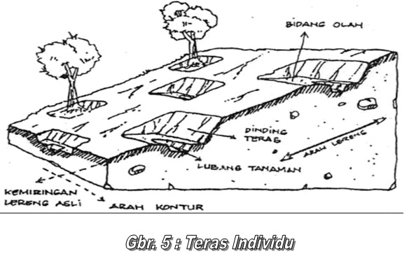 Teras Individu (lanjutan..Konservasi Tanah Dan Air-6/10 ...