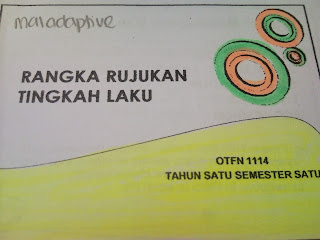 Mr. OccT: MODEL AND FRAME OF REFERENCE OCCUPATIONAL THERAPY