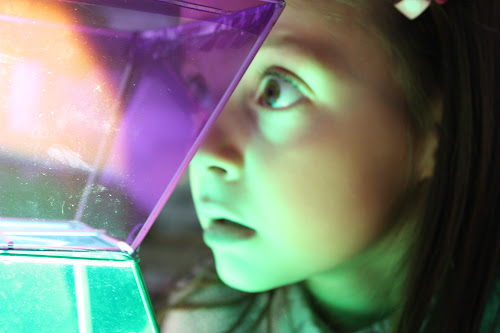 Light Exploration ~ Educational Fun for Kids - Or so she says...