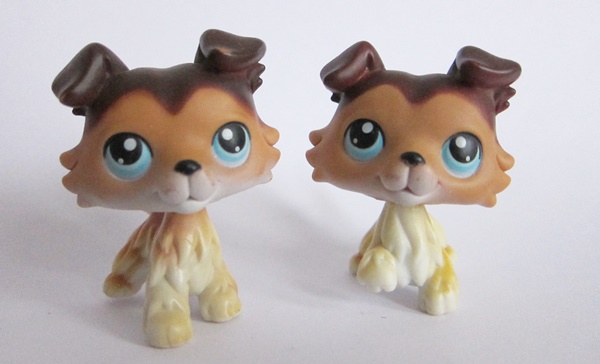 Littlest pet shop blogi: Lps collie #58