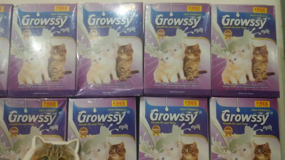 Supplier Kebutuhan Petshop