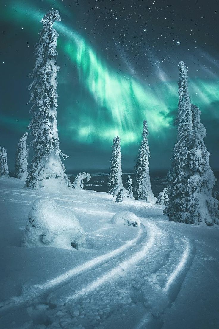 Aurora Boreal