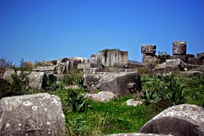Define Normal: El ecosistema de Stratos antigua - Το οικοσύστημα της ...