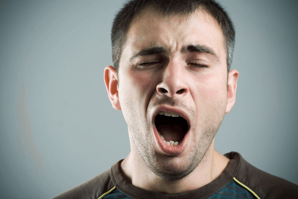 Bostezar mucho es señal de un cerebro más grande y complejo Rincón de ...