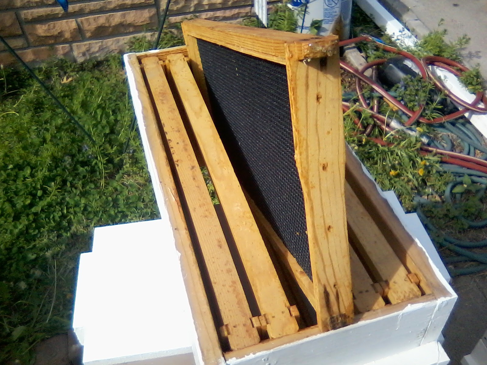 Technically Beekeeping: A tour of the type of hive I use