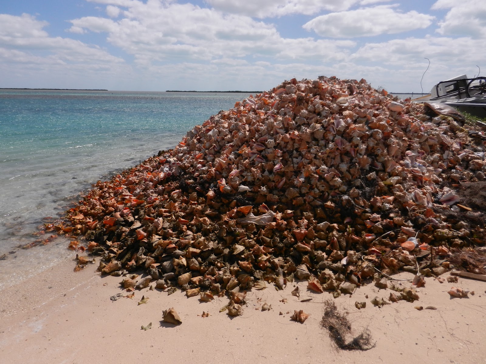 s/vWhitewing: Key West to Bimini