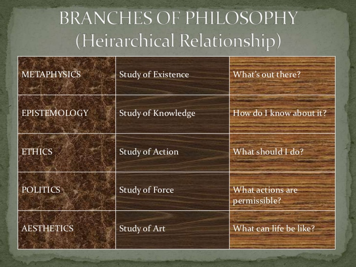 The Different Branches of Philosophy
