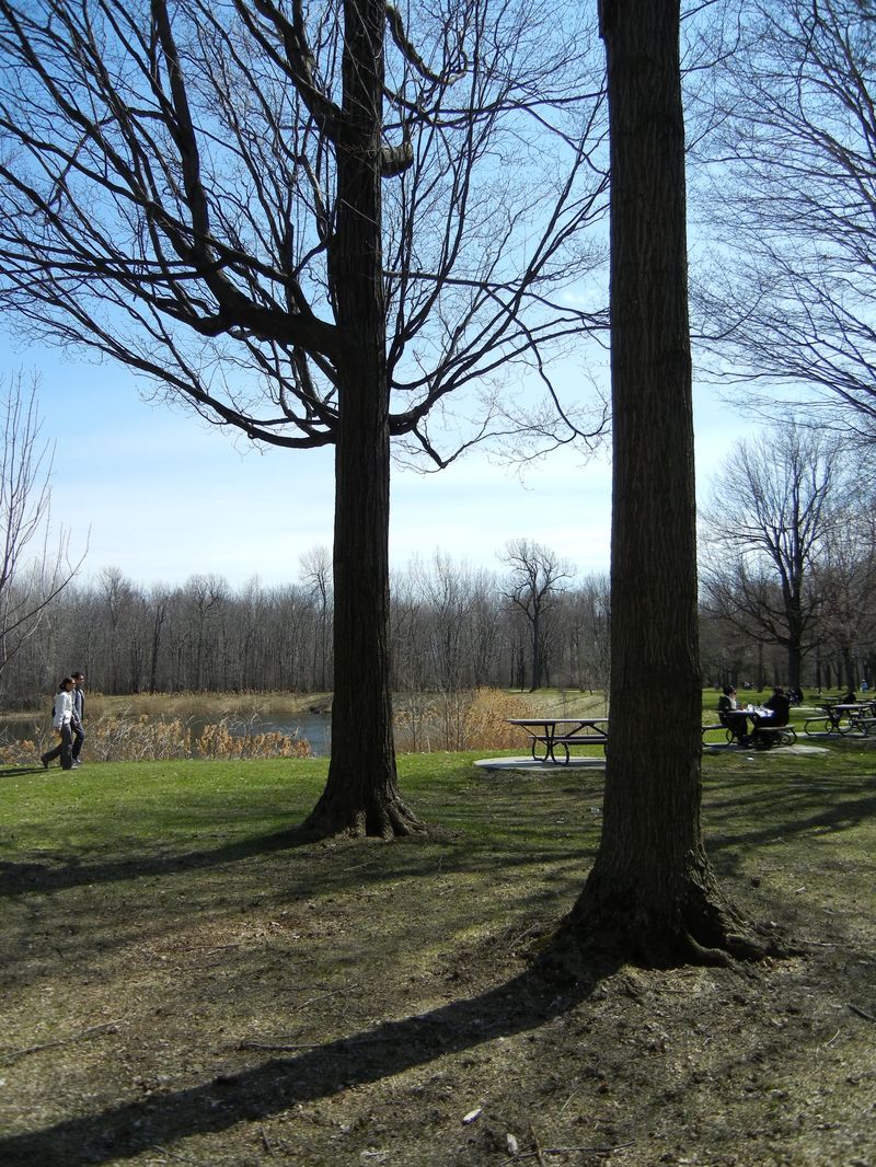 Love me less, but love me longer: Plan d'eau du parc Angrignon de Montréal