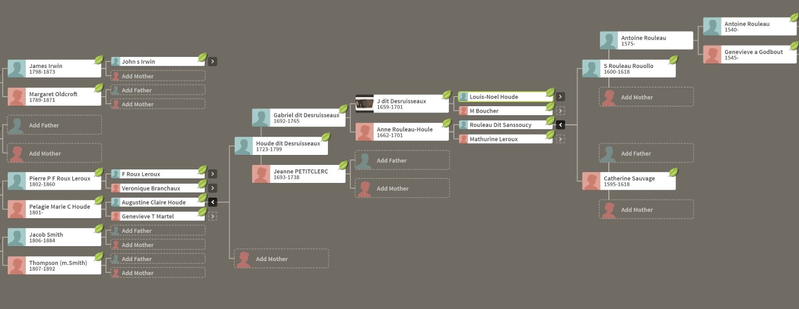 A History Of Many: Irwin Family Tree