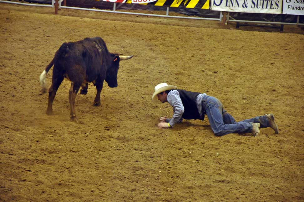 Taken For Granted: Steer Wrestling