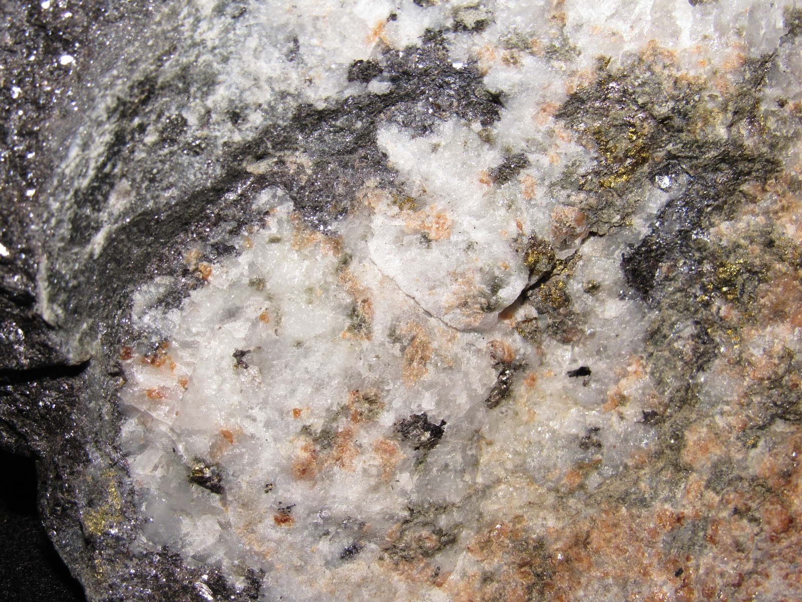 Modelling Metamorphism