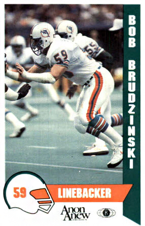 Pro Football Journal: Bob Brudzinski's Career Statisitcs