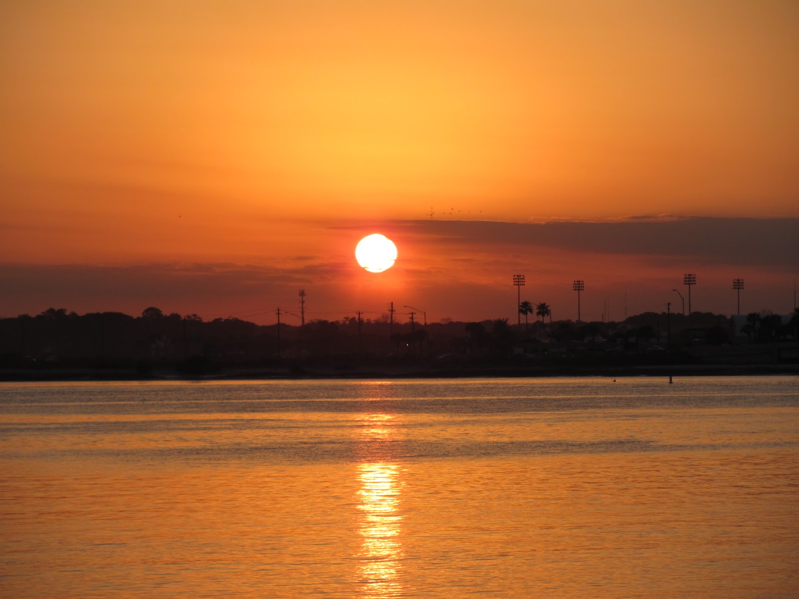 PL Fallin Photography: February 2011